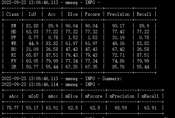 ValueError: size shape must match input shape. Input is 2D, size is 3 (seg_logit does not match ...