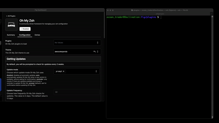 bug: Unable to Change Oh My Zsh Theme Reliably · Issue #2578 · withfig/fig · GitHub