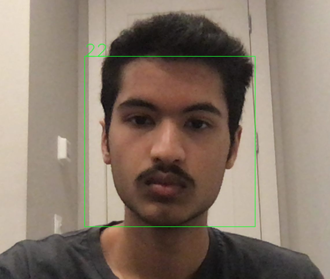 GitHub - milind31/Live-Age-Race-Detection: Uses haar cascade to track ...