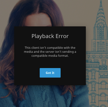 Playback Error instead of File not Found · Issue #4846 · jellyfin ...