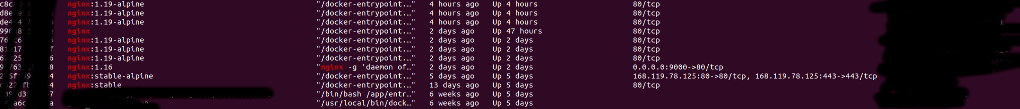 Nginx Container Stops After Starting Every Container · Issue 192