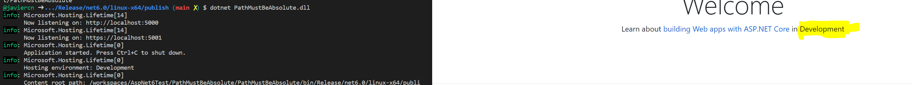 Regression: "The path must be absolute." on Linux · Issue #38175 · dotnet/aspnetcore · GitHub