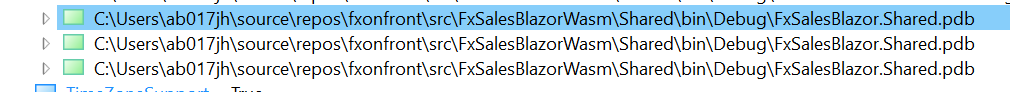 Conflicting assets with the same target path after upgrading Blazor from .net 5 to .net 6 ...
