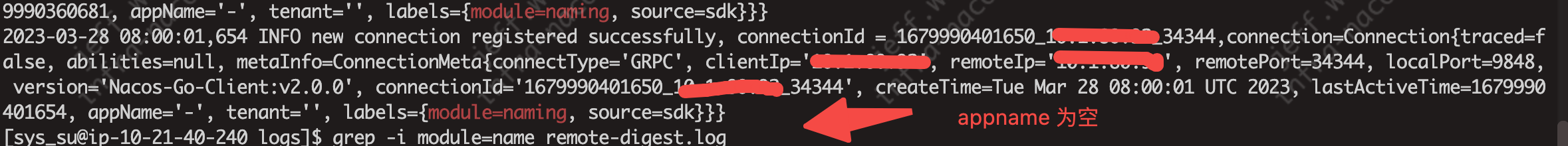 naming grpc client 没有传递appname · Issue #10210 · alibaba/nacos · GitHub