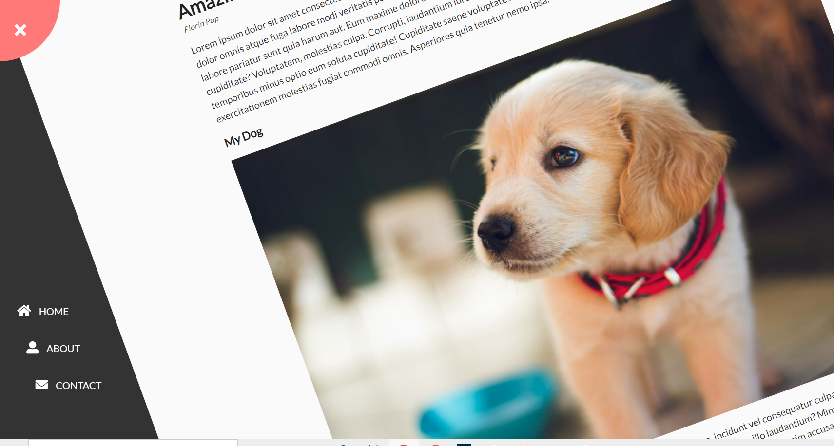 GitHub - sanky2020/50-Projects