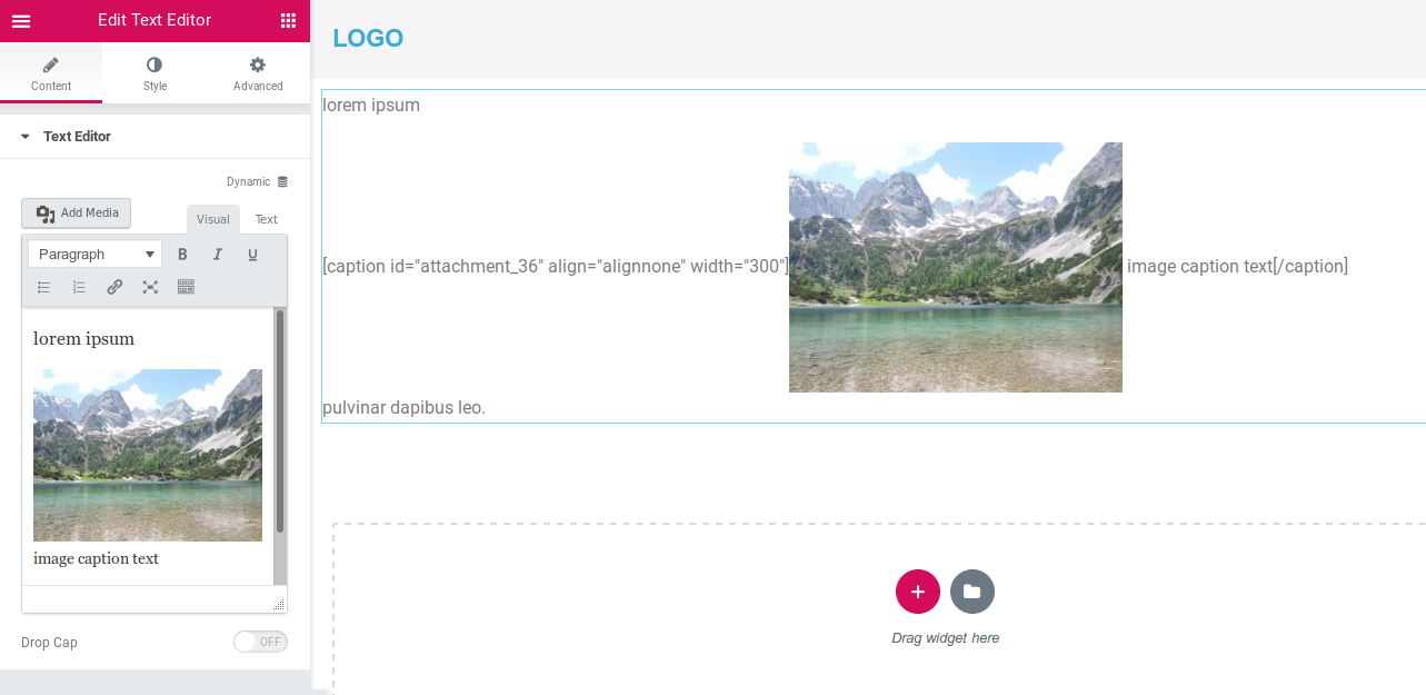 Text Editor Widget - Image caption preview problem · Issue #6196 · elementor/elementor · GitHub