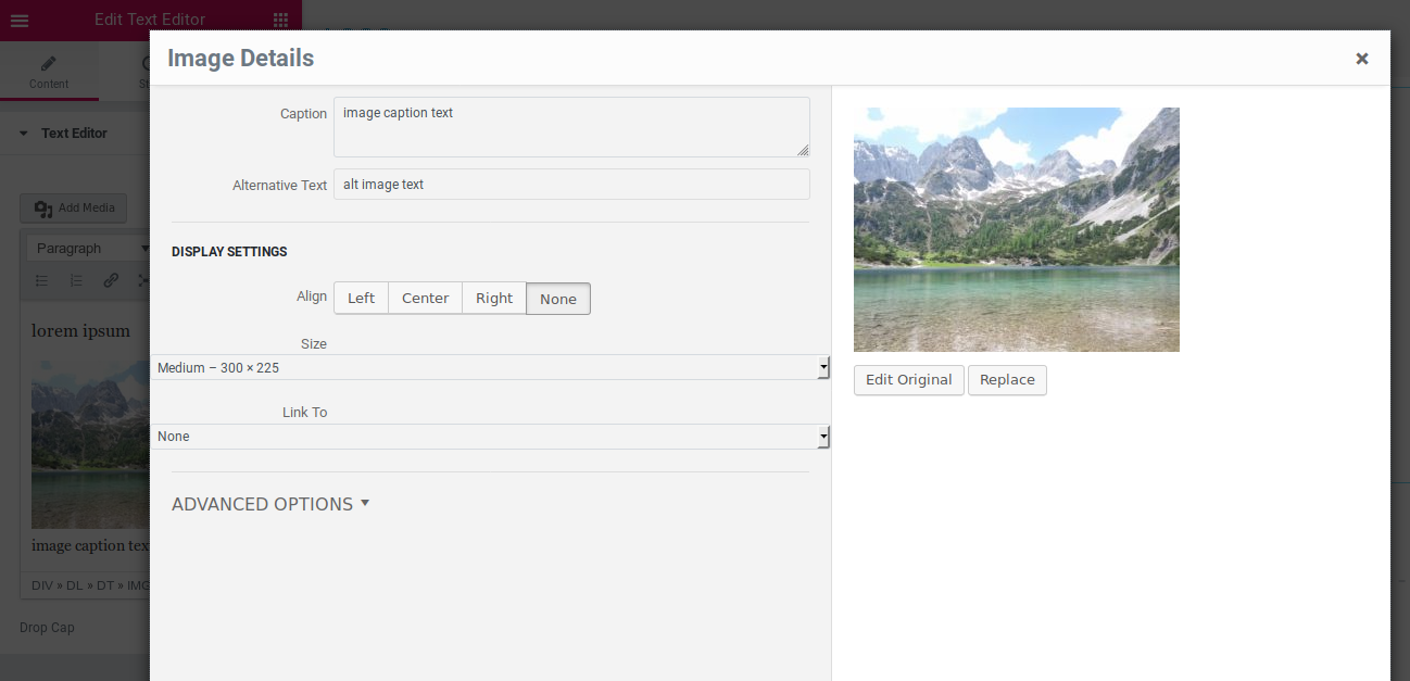 Text Editor Widget - Image caption preview problem · Issue #6196 · elementor/elementor · GitHub
