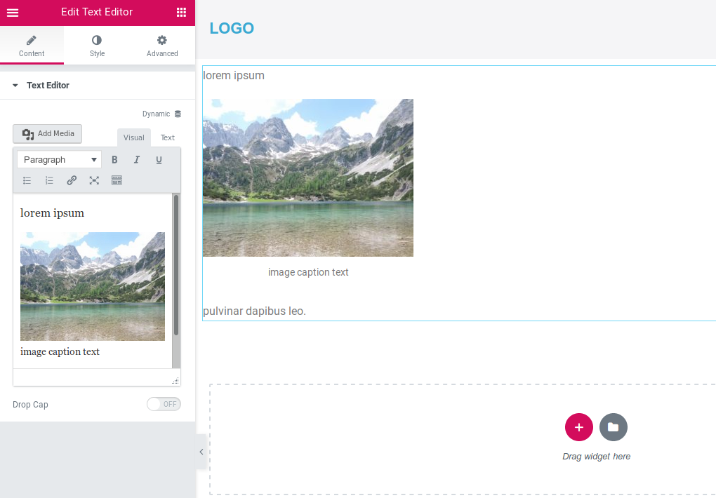 Text Editor Widget - Image caption preview problem · Issue #6196 · elementor/elementor · GitHub