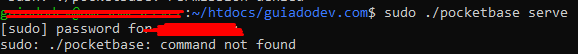 ./pocketbase serve command not found · pocketbase pocketbase · Discussion #2377 · GitHub