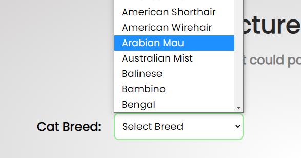 GitHub - winal-28/Cat-Picture-Generator: a webpage that loads up cats ...