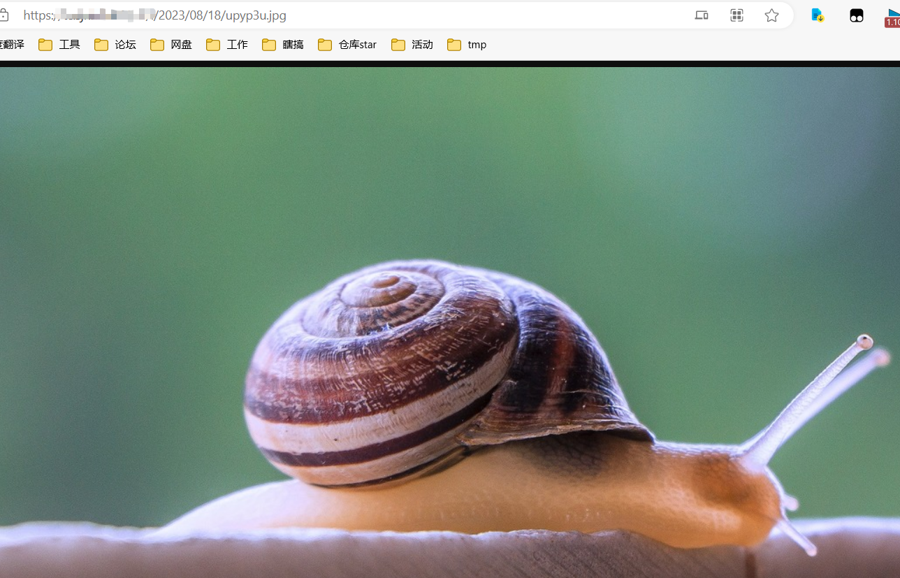 Nginx代理管理器配置问题 · Issue #133 · icret/EasyImages2.0 · GitHub