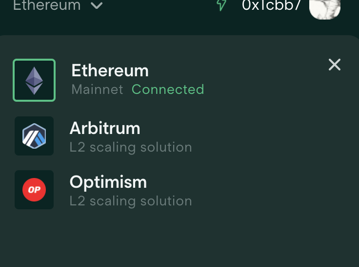 [Bug]: Network selector displays dummy L2 options · Issue #565 · tahowallet/extension · GitHub