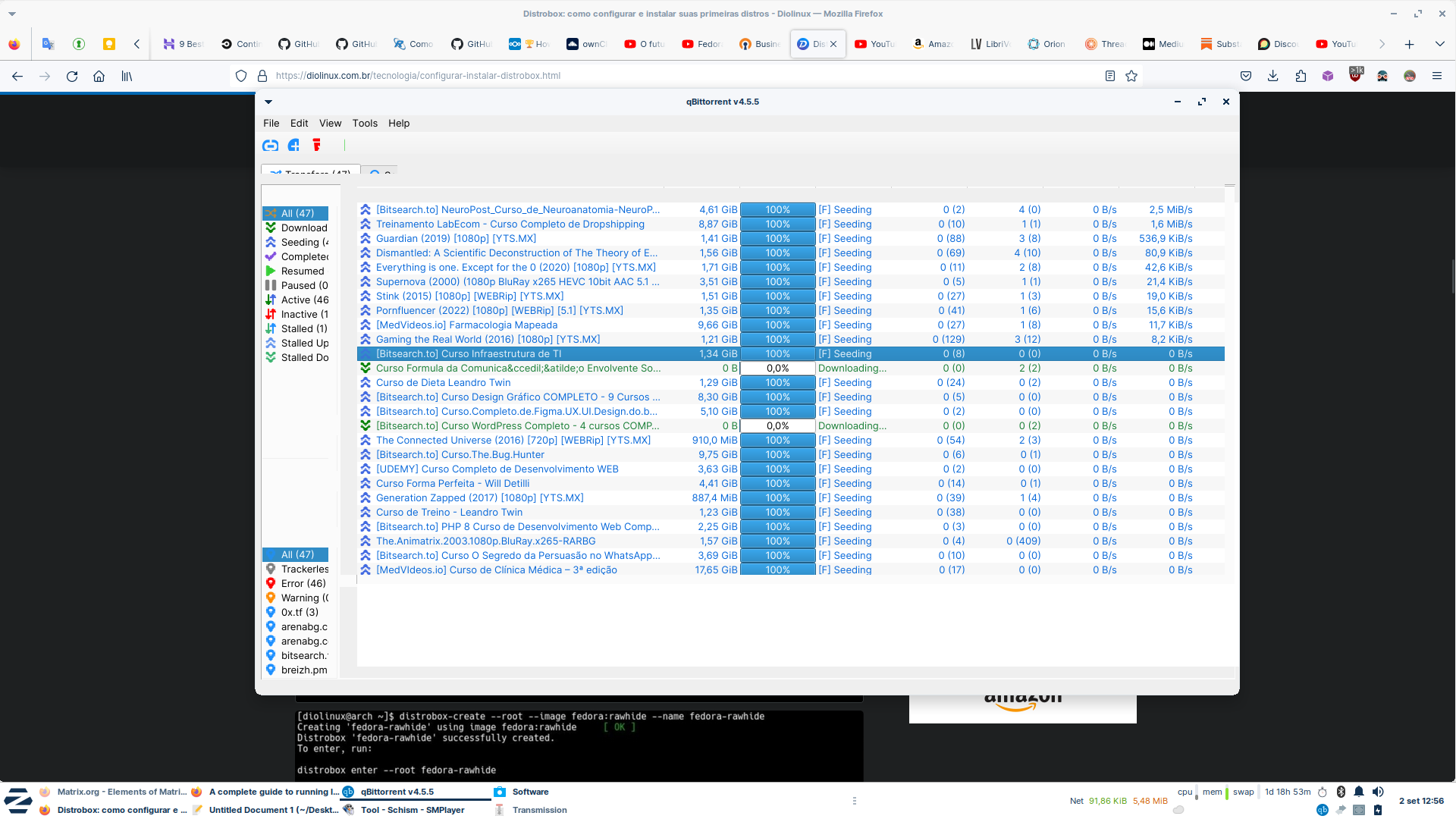 Problem to showing graphic correct on Qbitorrent 4.5.5 from dl.flathub ...
