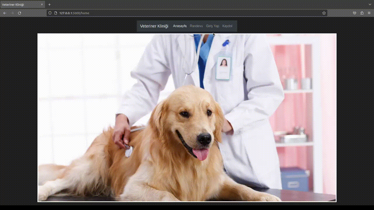 GitHub - agining/vetdatabase: VETERINARY POLYCLINIC DATABASE WITH UI