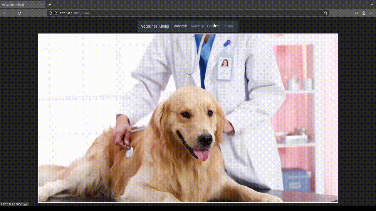 GitHub - agining/vetdatabase: VETERINARY POLYCLINIC DATABASE WITH UI ...