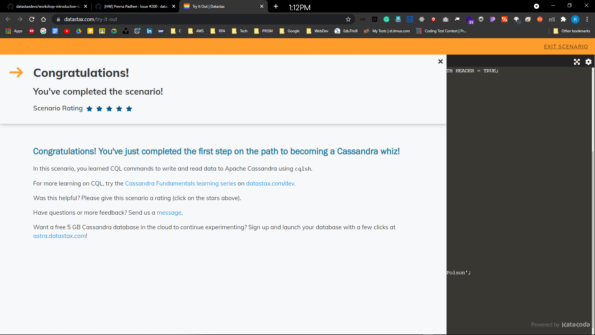 [HW] RIYA TERI · Issue #209 · datastaxdevs/workshop-introduction-to-nosql · GitHub