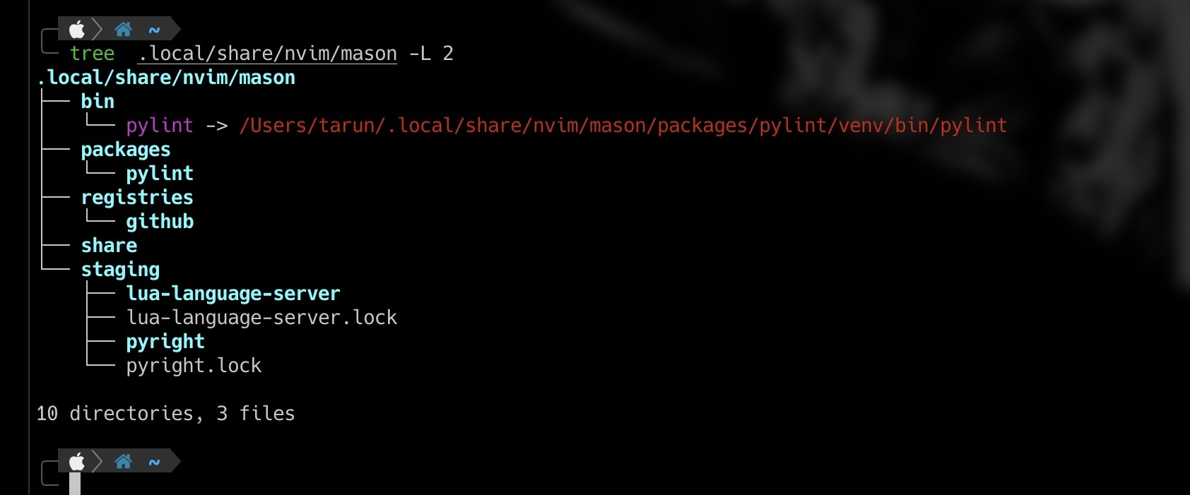Lsp Servers Not Getting Installed · Issue 1344 · Williambomanmasonnvim · Github