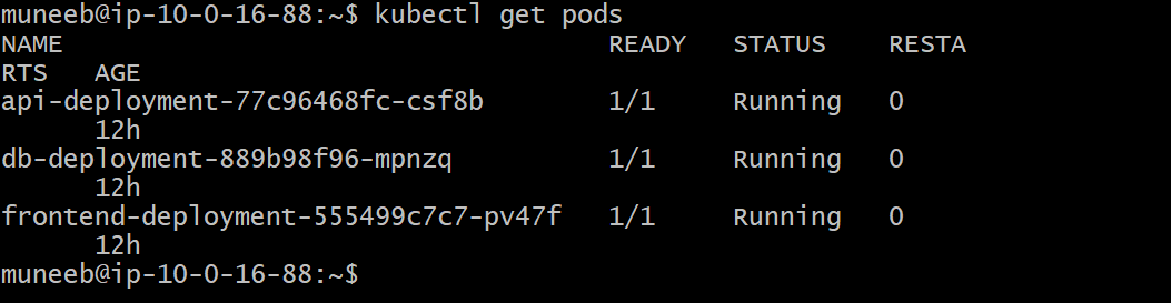 GitHub - muneebxyz/cloudnative-EmumbaProject-Muneeb: This is a to-do list application. It's ...