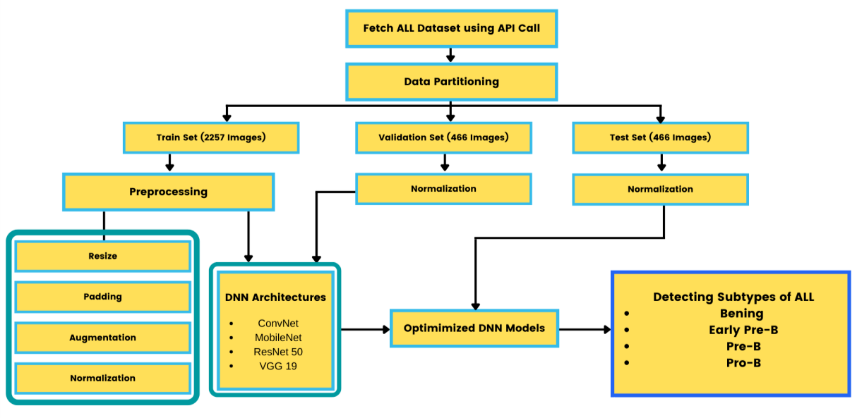 GitHub - taufiq-ai/Vision-Blood-Cancer-Stage-Detection: A Deep Learning based Python Web ...