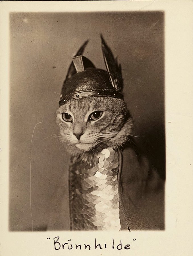 GitHub - IgorHelinski/MyImageOperations: Floyd–Steinberg dithering and more! Made using C#