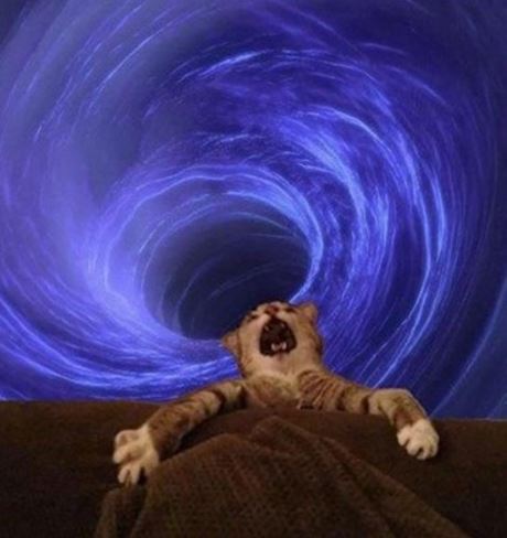 Bug: Division by zero caused Black Hole · Issue #342 · kelseyhightower/nocode · GitHub