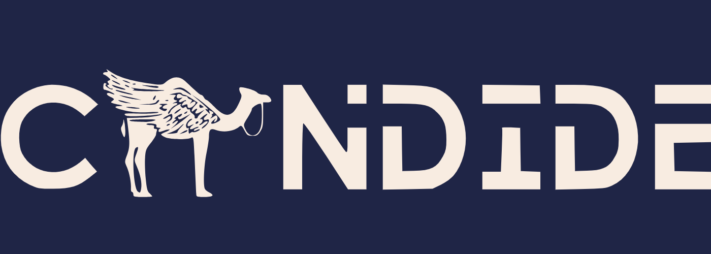 Candide Labs · GitHub