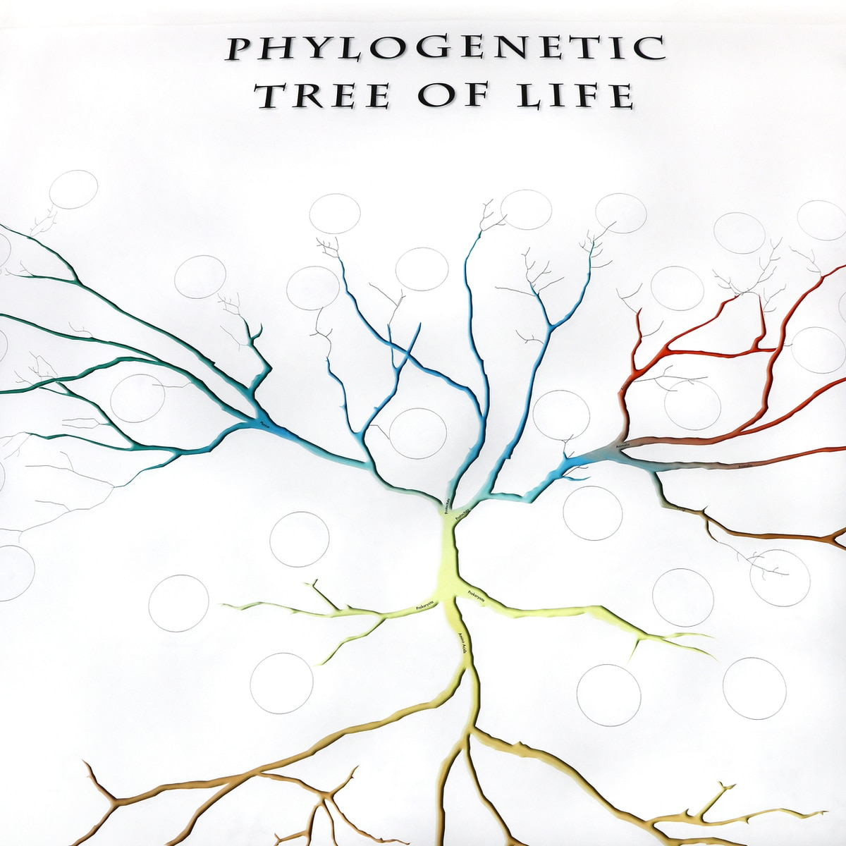 GitHub - Bmatias2020/genomics-course: Evolutionary Genomics