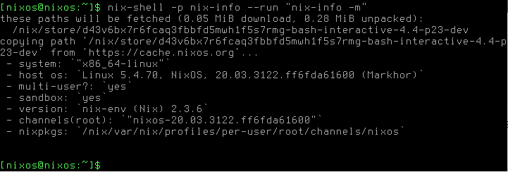 Virtualbox install from NixOS 20.03 ISO does not start X, in Virtualbox ...