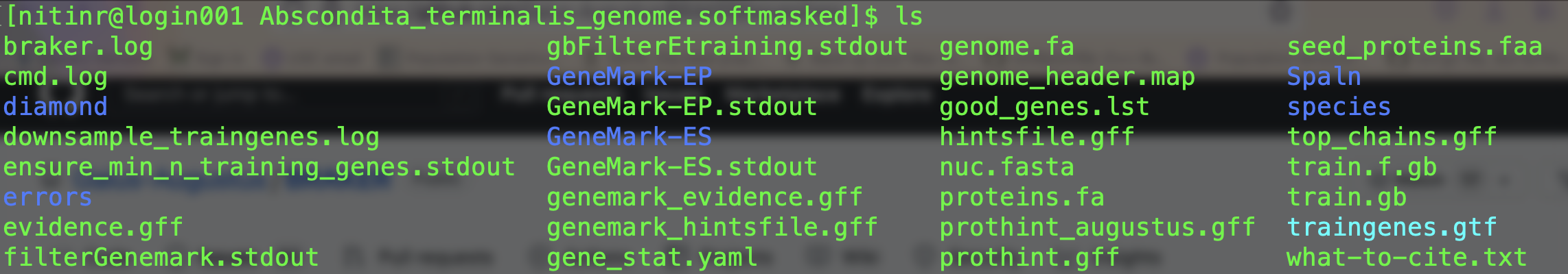 No Braker ouput (augustus.hints.gtf or braker.gtf) after finishing analysis. · Issue #490 ...