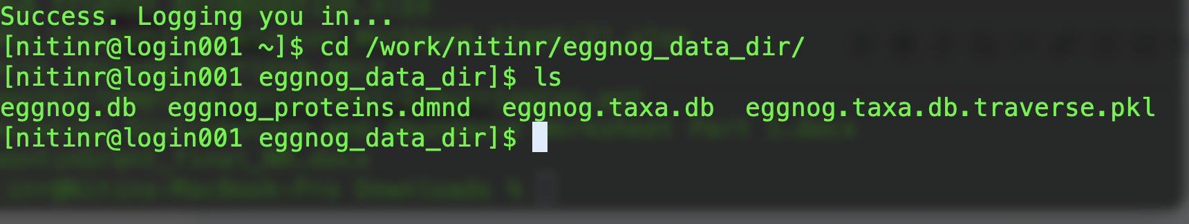 Empty output after running Eggnog CLI · Issue #418 · eggnogdb/eggnog-mapper · GitHub