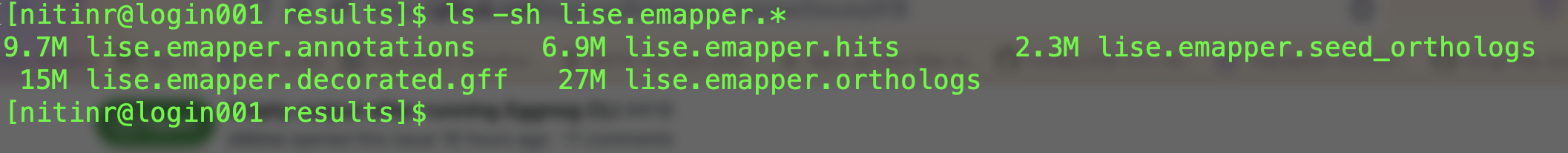 Empty output after running Eggnog CLI · Issue #418 · eggnogdb/eggnog-mapper · GitHub