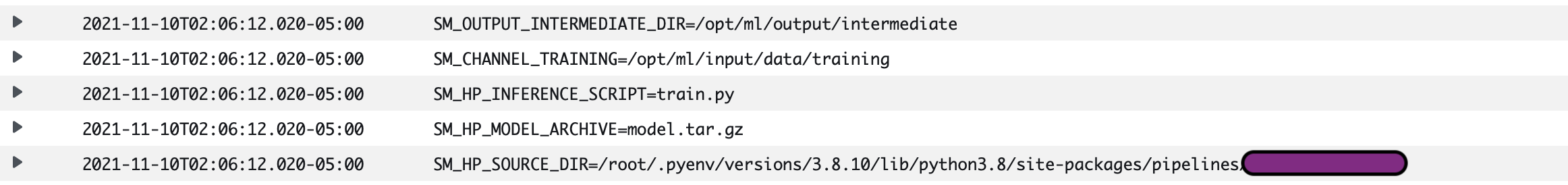 RegisterModel step fails when I provide 'entry_point' and 'source_dir' arguments to register a ...