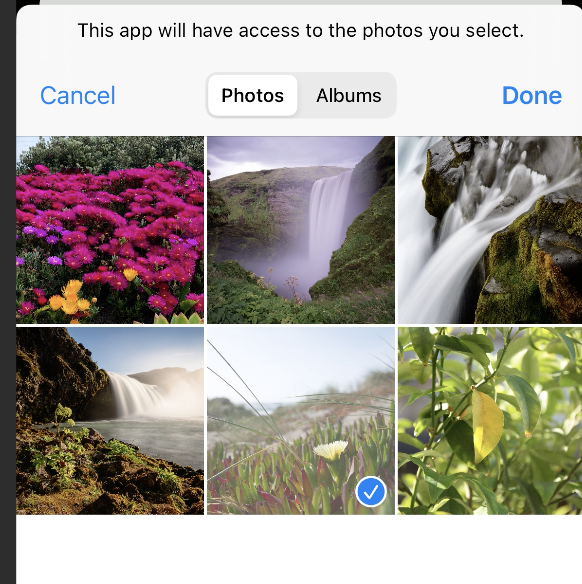 ImagePicker is able to access all photos on iOS despite "Selected Photos" in Privacy settings ...
