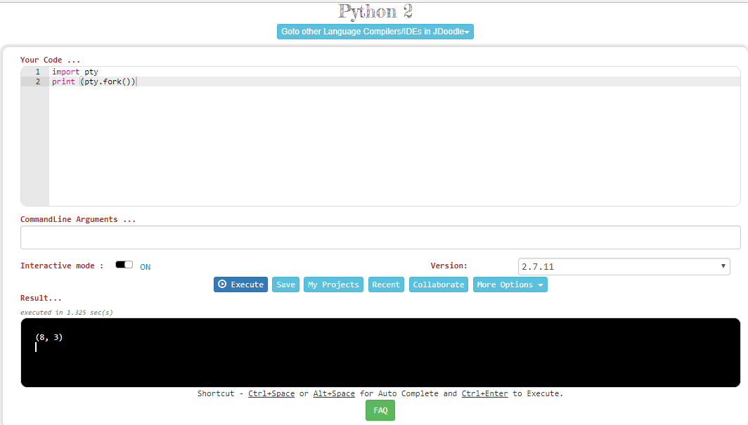 Possible issue around pty-based run() re: forking and child PIDs · Issue #500 · pyinvoke/invoke ...