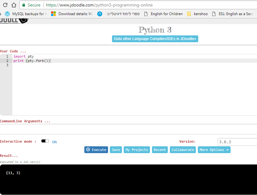 Possible issue around pty-based run() re: forking and child PIDs · Issue #500 · pyinvoke/invoke ...