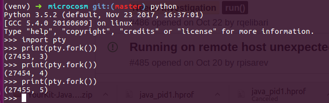 Possible issue around pty-based run() re: forking and child PIDs · Issue #500 · pyinvoke/invoke ...