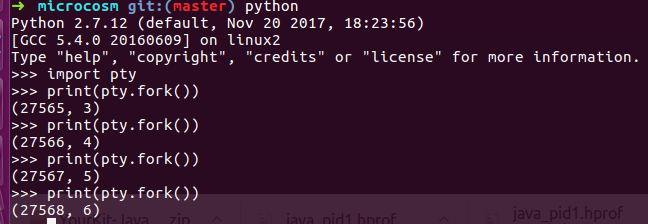 Possible issue around pty-based run() re: forking and child PIDs · Issue #500 · pyinvoke/invoke ...