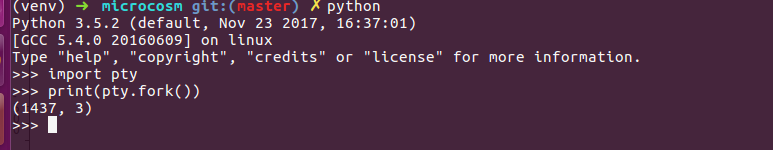 Possible issue around pty-based run() re: forking and child PIDs · Issue #500 · pyinvoke/invoke ...