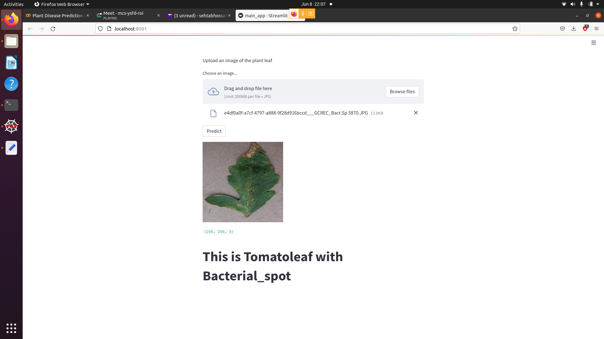 GitHub - sehtab/Plant-Disease-Prediction