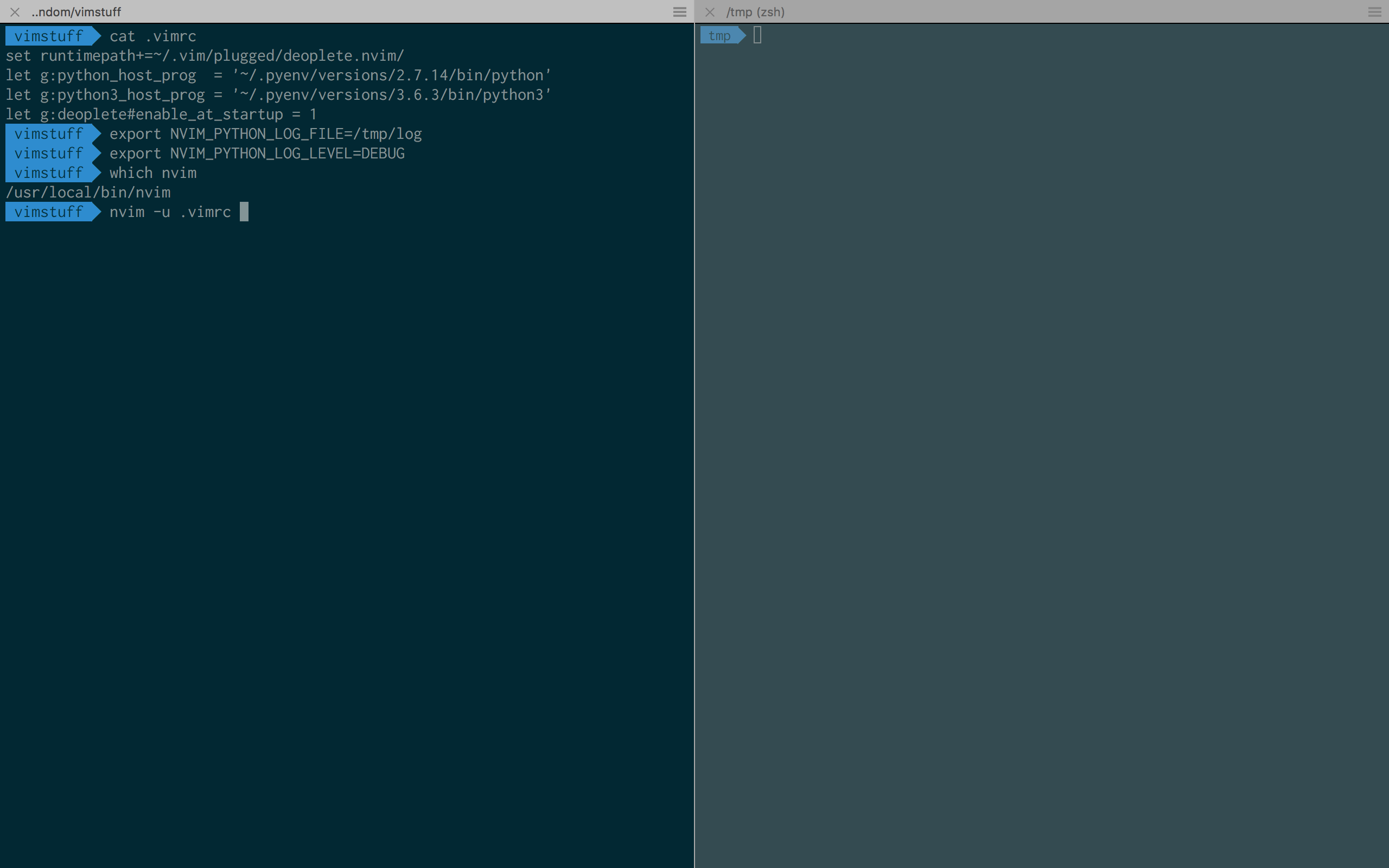 Deoplete `:UpdateRuntimePlugins` don't work · Issue #560 · Shougo/deoplete.nvim · GitHub