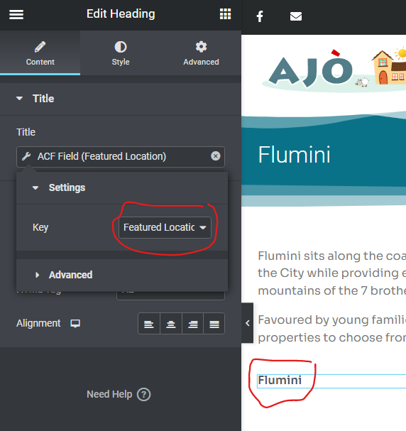🐞 Bug report: Elementor outputs label not value in ACF Select Fields · Issue #20178 · elementor ...