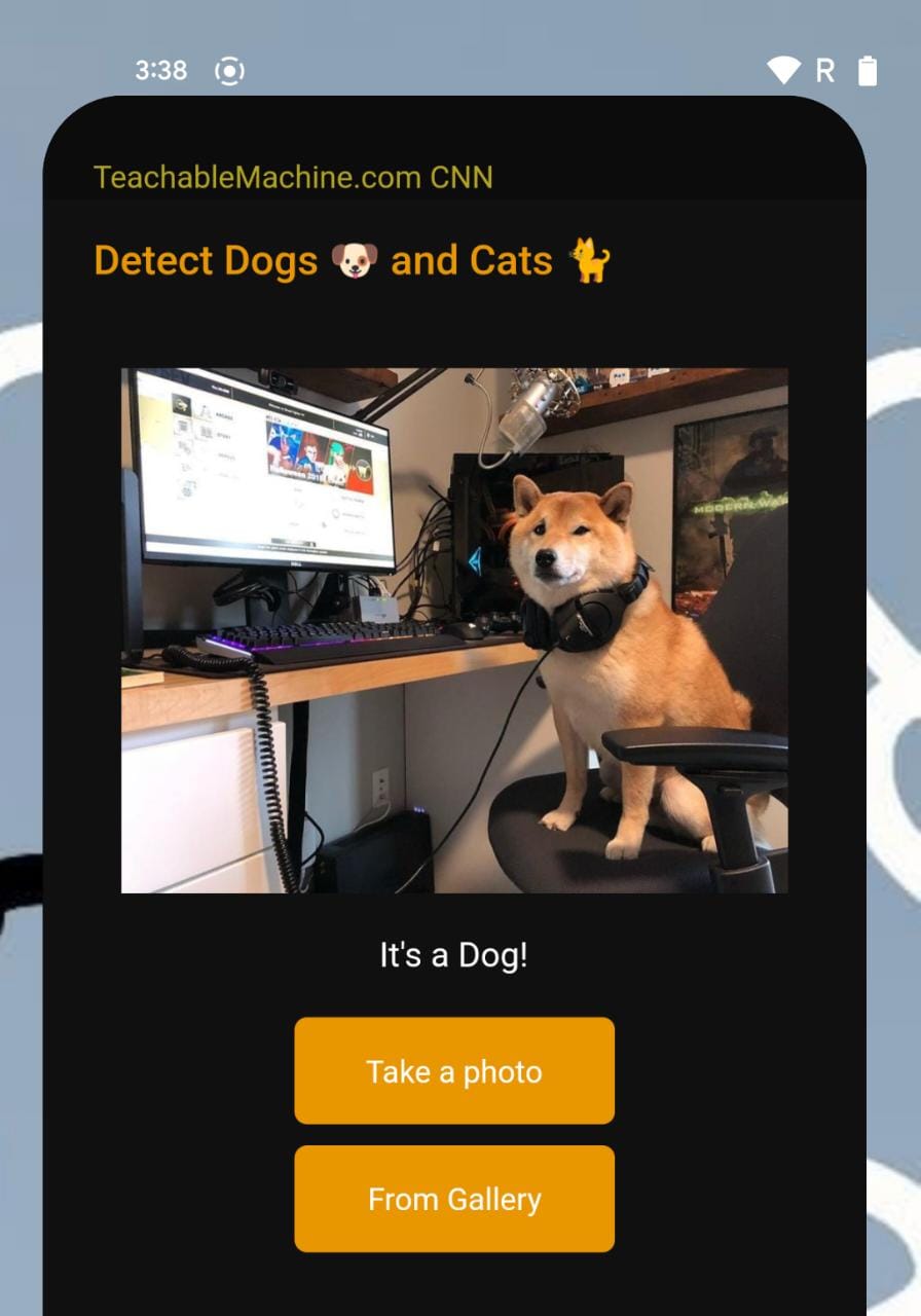 GitHub - SoulPancake/cats_versus_dogs: A cat versus Dog detector using TeachableMachine's ...