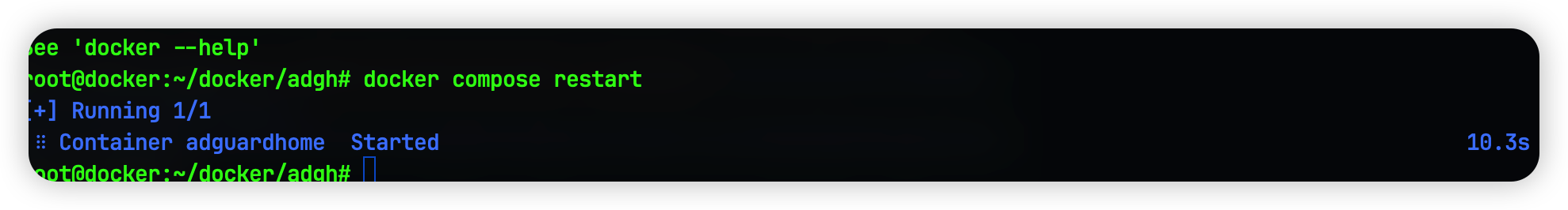 Cannot request DNS after using H3 for a long time · Issue #5575 · AdguardTeam/AdGuardHome · GitHub