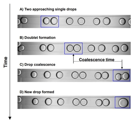 GitHub - shinwei-chong/microfluidics-drop-coalescence: ML-based video analysis pipeline for ...