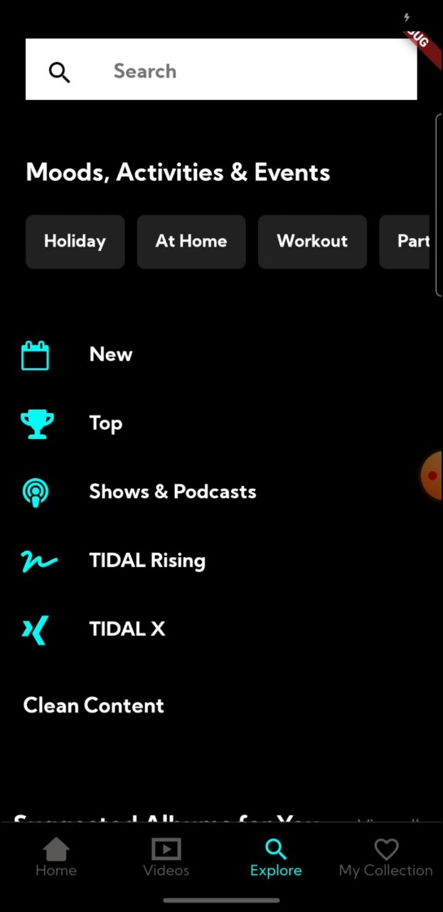 GitHub - quinton11/tidal_ui_clone