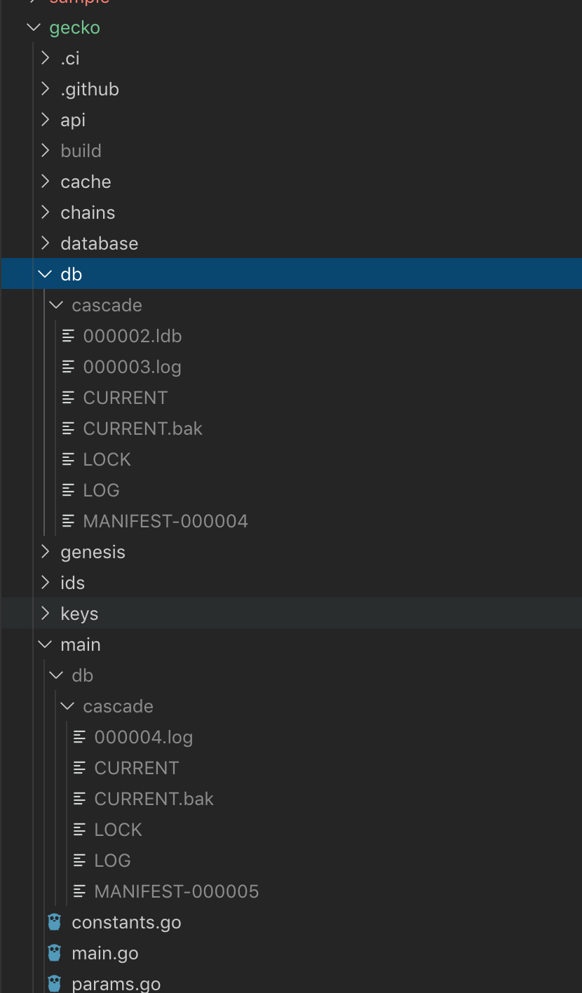 default db is created is relative and not always gecko/db · Issue #112 · ava-labs/avalanchego ...