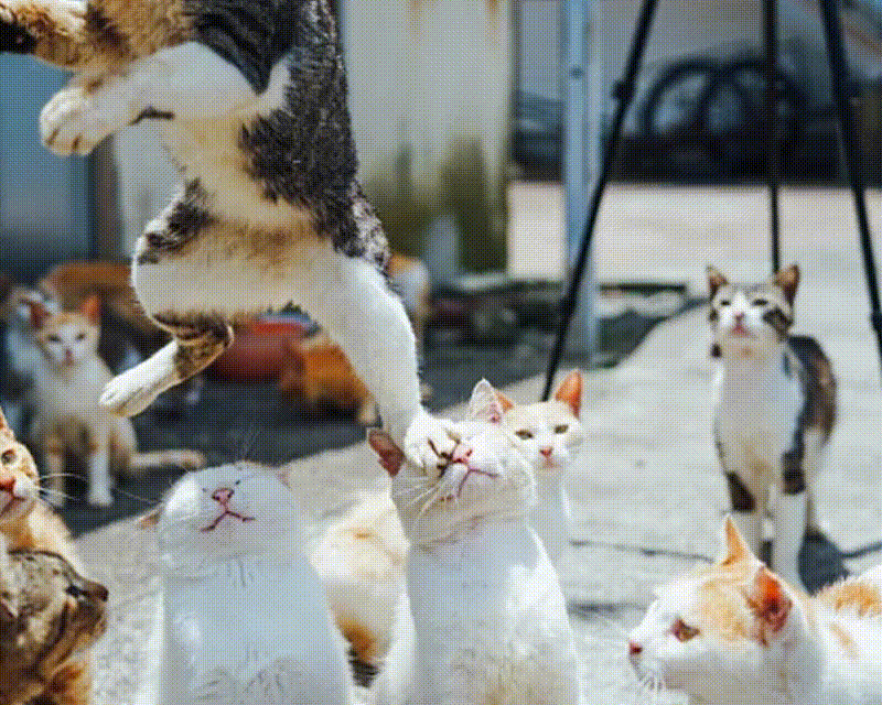 GitHub - luv-bansal/Segment-Anything-Model-SAM-