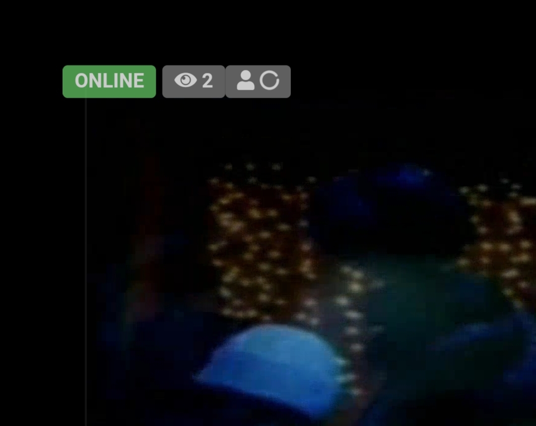 Total Video Count No Longer Displays After Latest Gitpull · Issue 4881 · Wwbnavideo · Github 