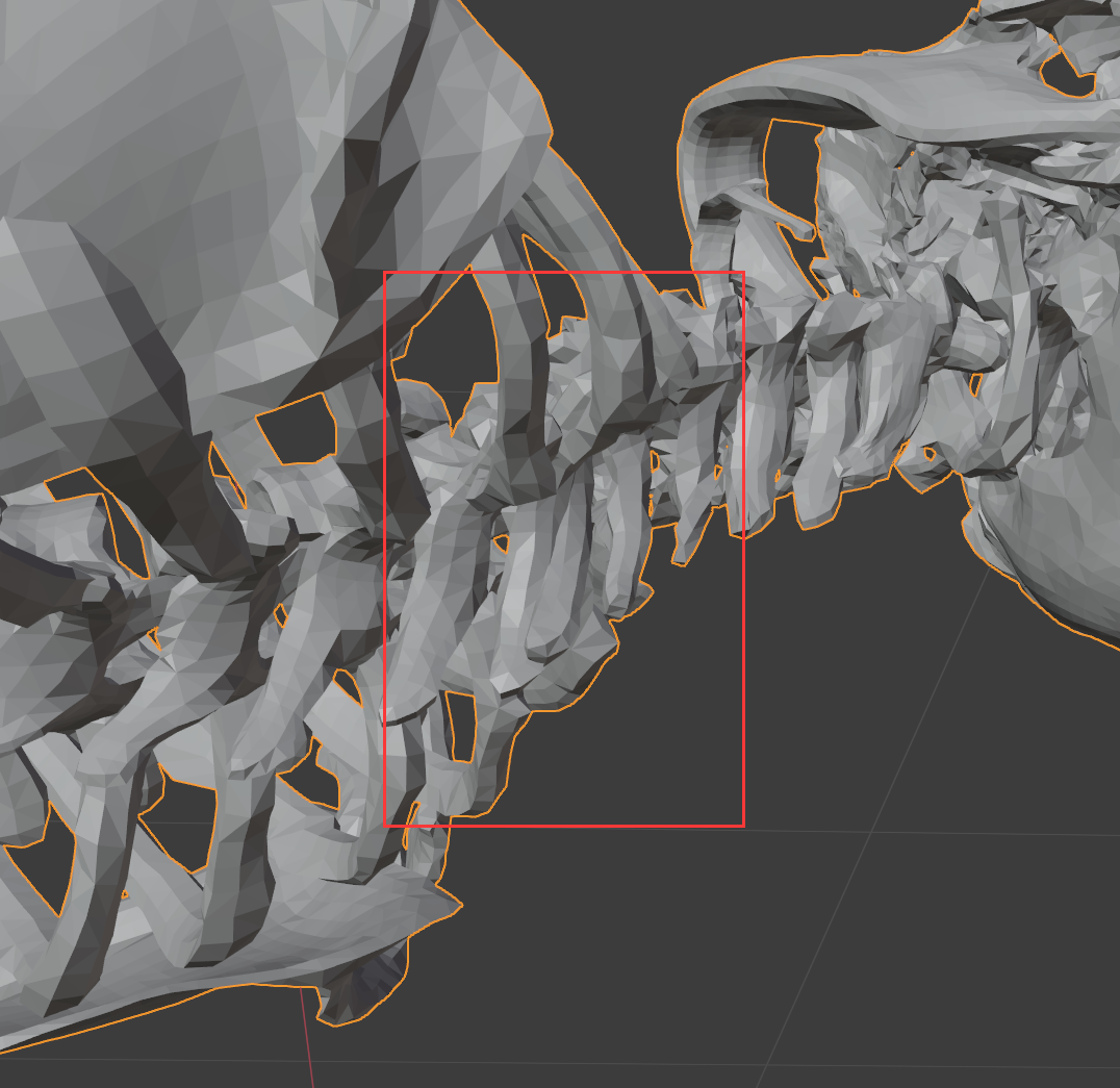 Issue with Intersection of Segments in Exported Skeleton Model and Potential Manually ...