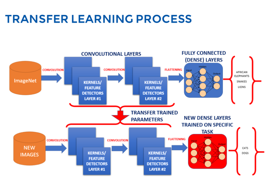 GitHub - KarnikaSoni/BrainTumor_Detection: A project that detects brain ...